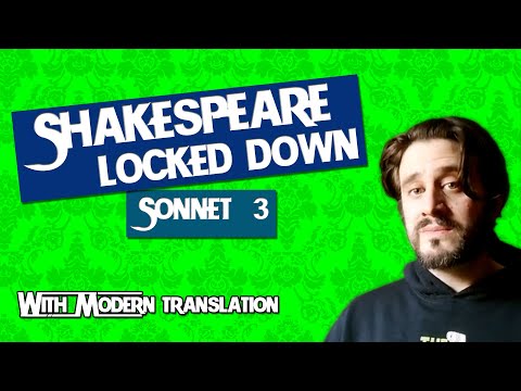 What Does Shakespeare Mean? - Sonnet 3 Explained