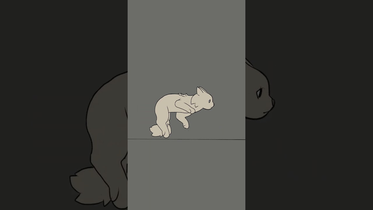 Cat run cycle[animation］ #2danimation #procreate #animation #cat