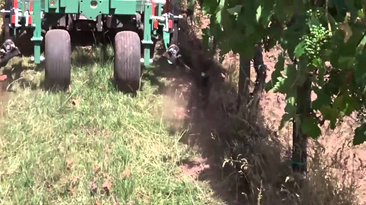 Wunderscheiben Unkrautmanagement im Weinbau - Miracle discs in viticulure