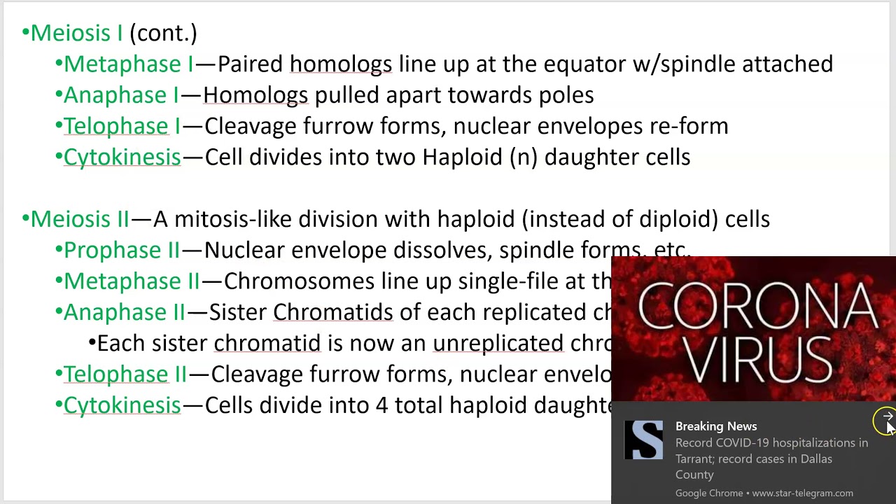 2402 Lecture Chapter 27 Reproduction 1 PowerPoint Screencast