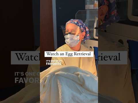 POV #eggretrieval #ivf
