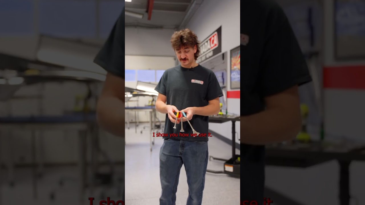 PDR Whale Tails | When And Where To Use Them | Tips & Tricks