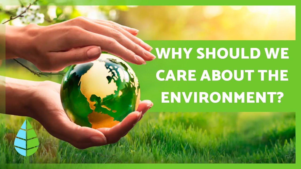 The importance of TAKING CARE of our ENVIROMENT🌏🌿