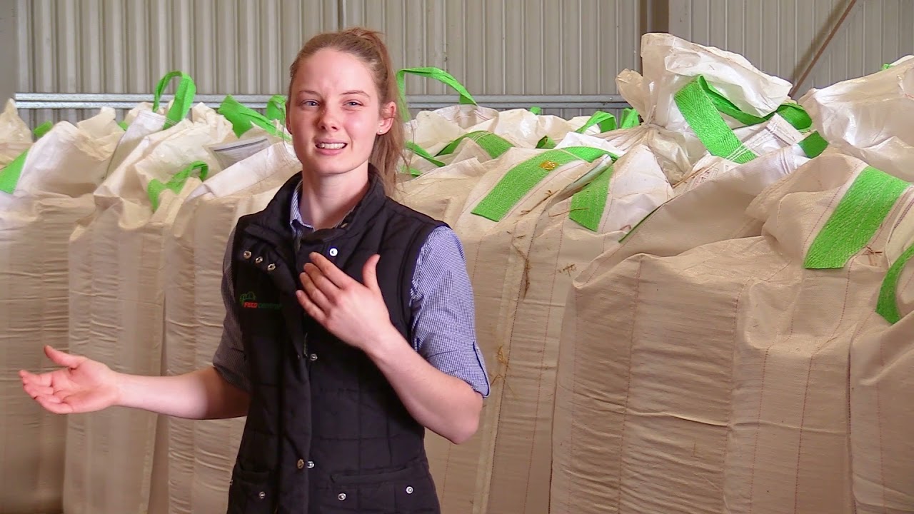 Feed Central Seed Sampling