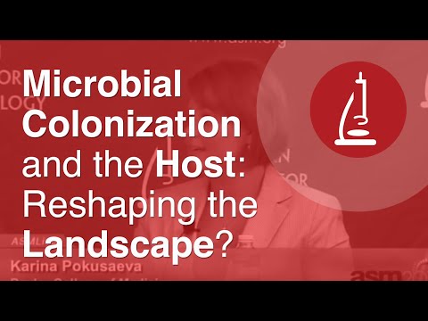 Microbial Colonization and the Host: Reshaping the Landscape?