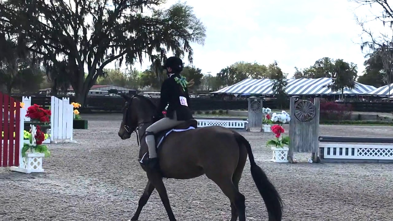 Equest Show Stables: Poppings Jackque