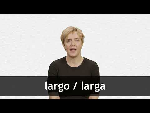 English Translation of “LARGO” | Collins Spanish-English Dictionary