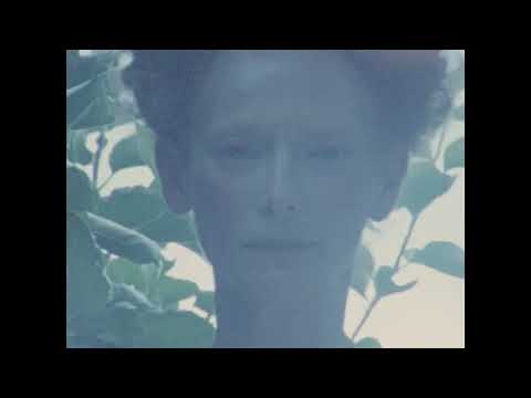 Tilda Swinton Stars in ‘Personal History,’ A Film by Tim Walker | W Magazine