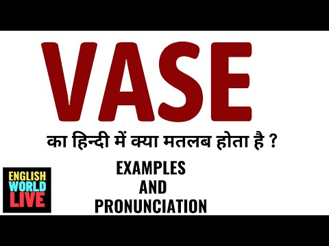 VASE MEANING IN HINDI | VASE का हिन्दी में क्या मतलब होता है | VASE IN HINDI