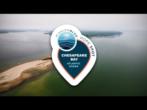 Dr. Sylvia Earle Announces the Chesapeake Bay Hope Spot