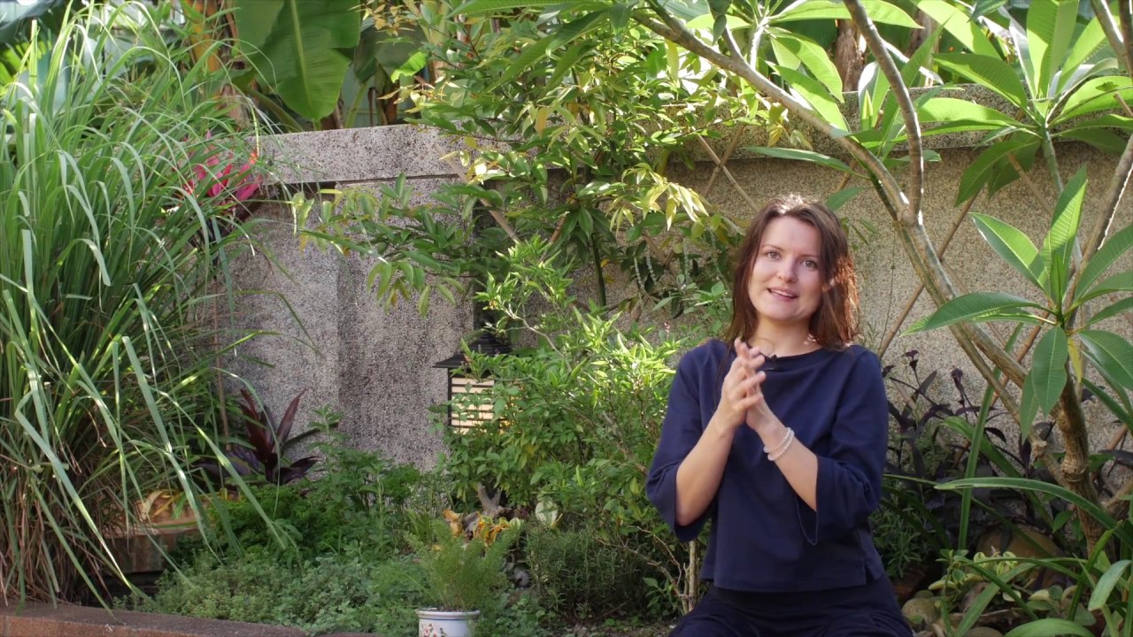 Introducing Global Tea Hut App!