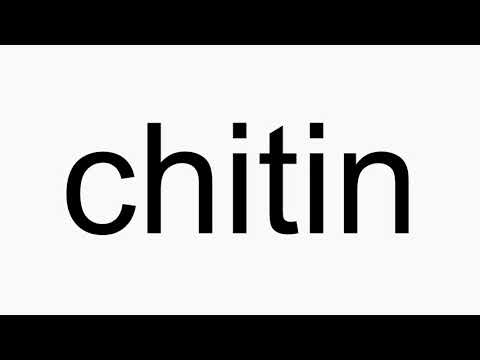 How to pronounce chitin