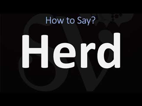How to Pronounce Herd? (CORRECTLY)