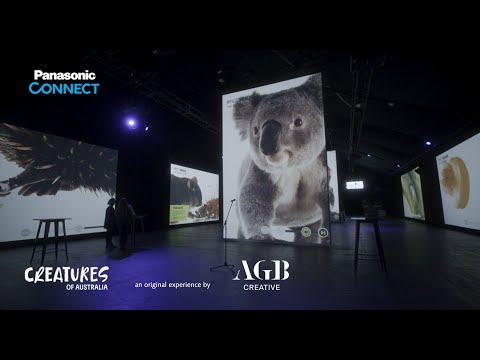 Panasonic supports AGB Creative showcasing a WILD cinematic experience; Creatures of Australia