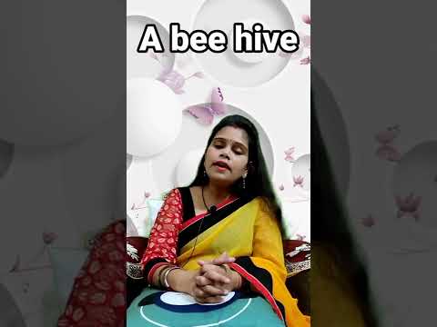 A bee hive | A bee hive meaning in hindi | A bee hive ka kya matlab hota hai | #shorts #englishwiser