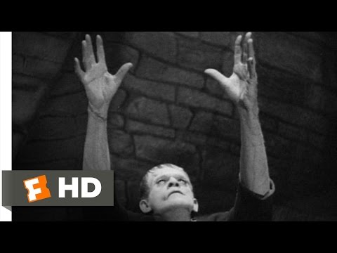 Frankenstein (1931) | The Evolution of Frankenstein's Monster