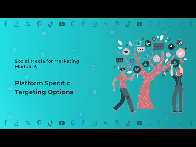Understanding Platform-Specific Targeting Options on Social Media ...