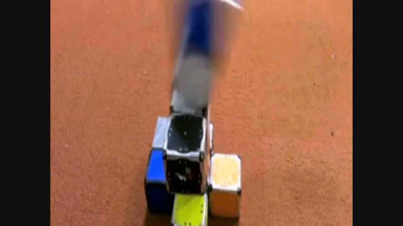 Self Assembling Robots