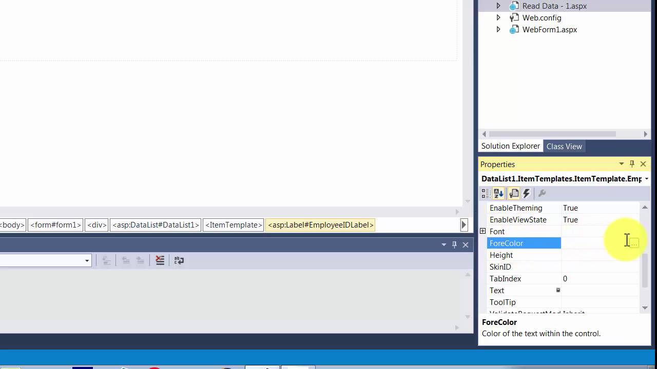 ASP.net Database - DataSource and DataList Controls - Formatting Template