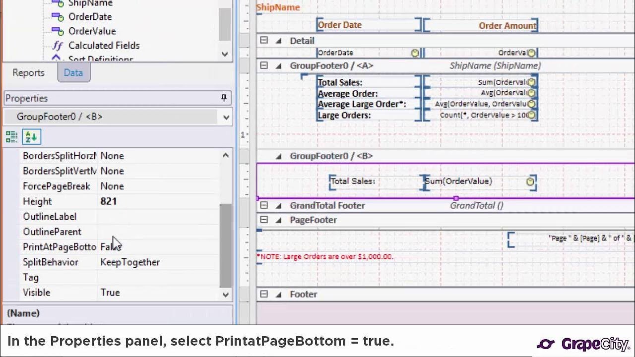 FlexReport Designer: Using the PageBottom Property