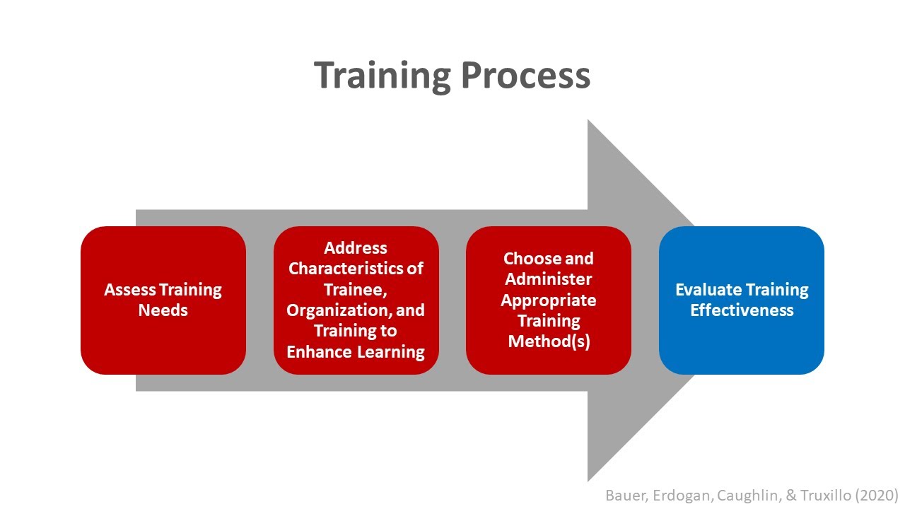 Introduction to Training