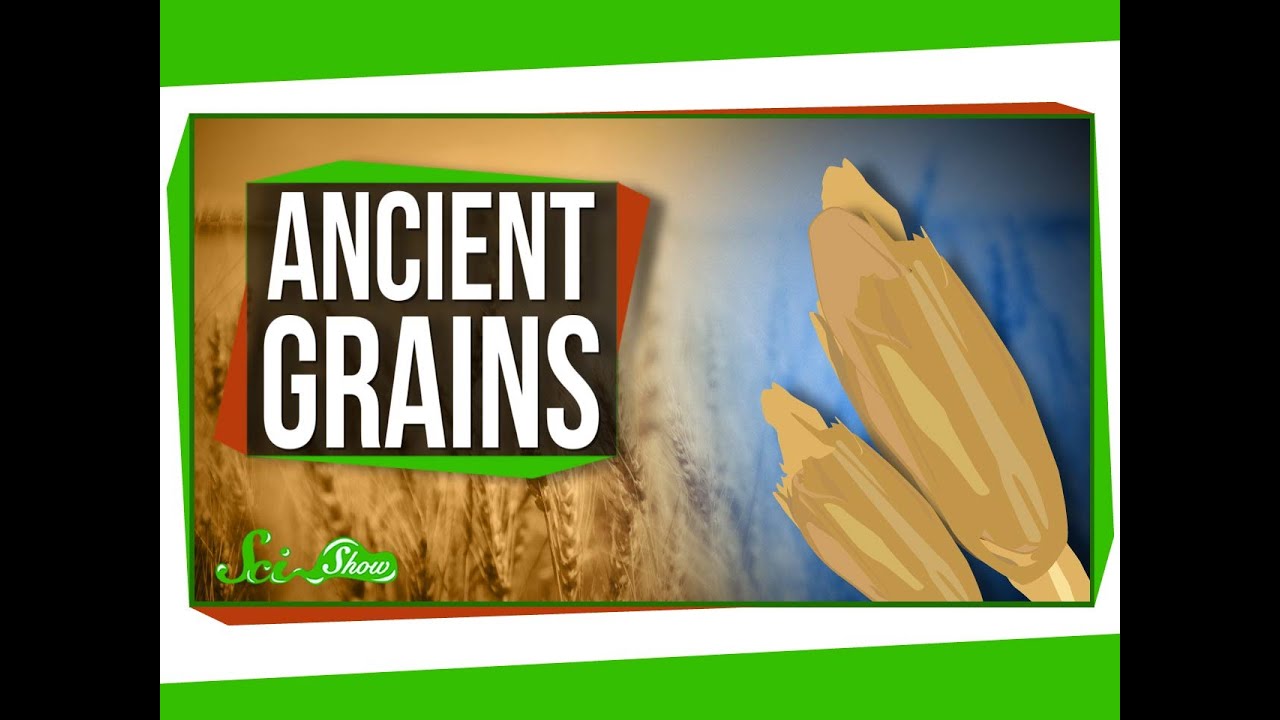 Are Ancient Grains Really Better For You?