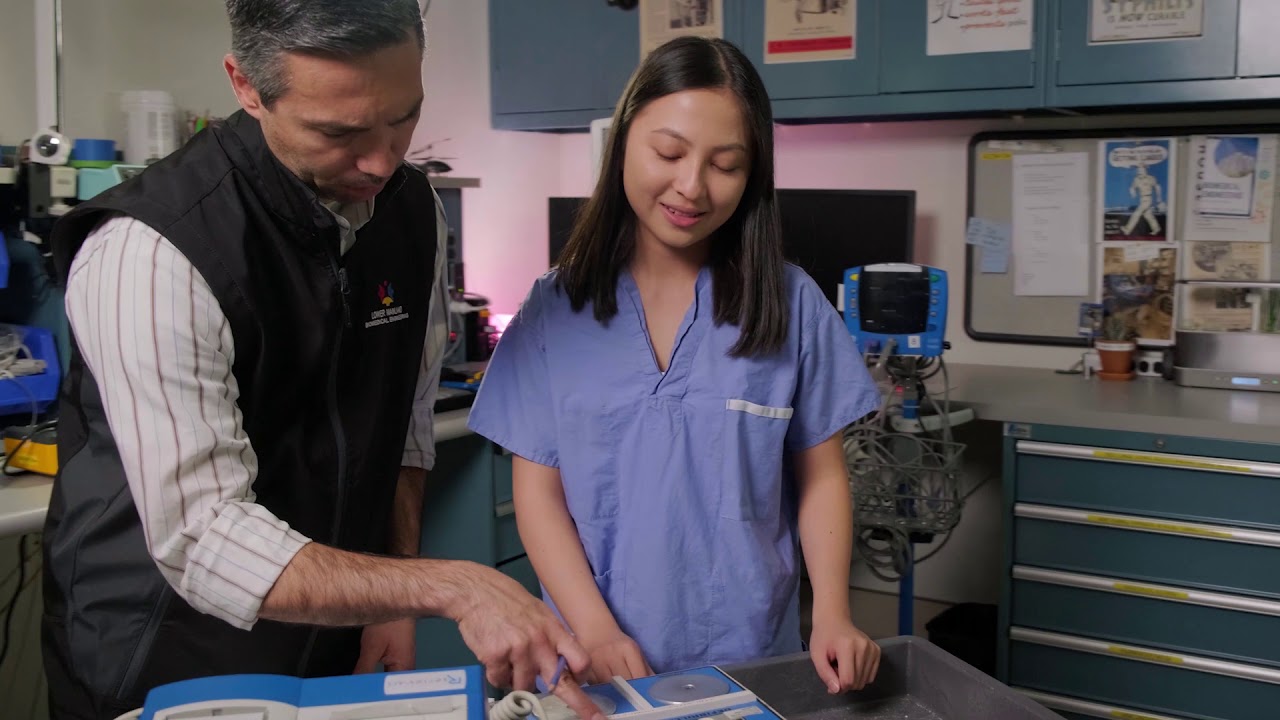 BCIT Biomedical Engineering Technology