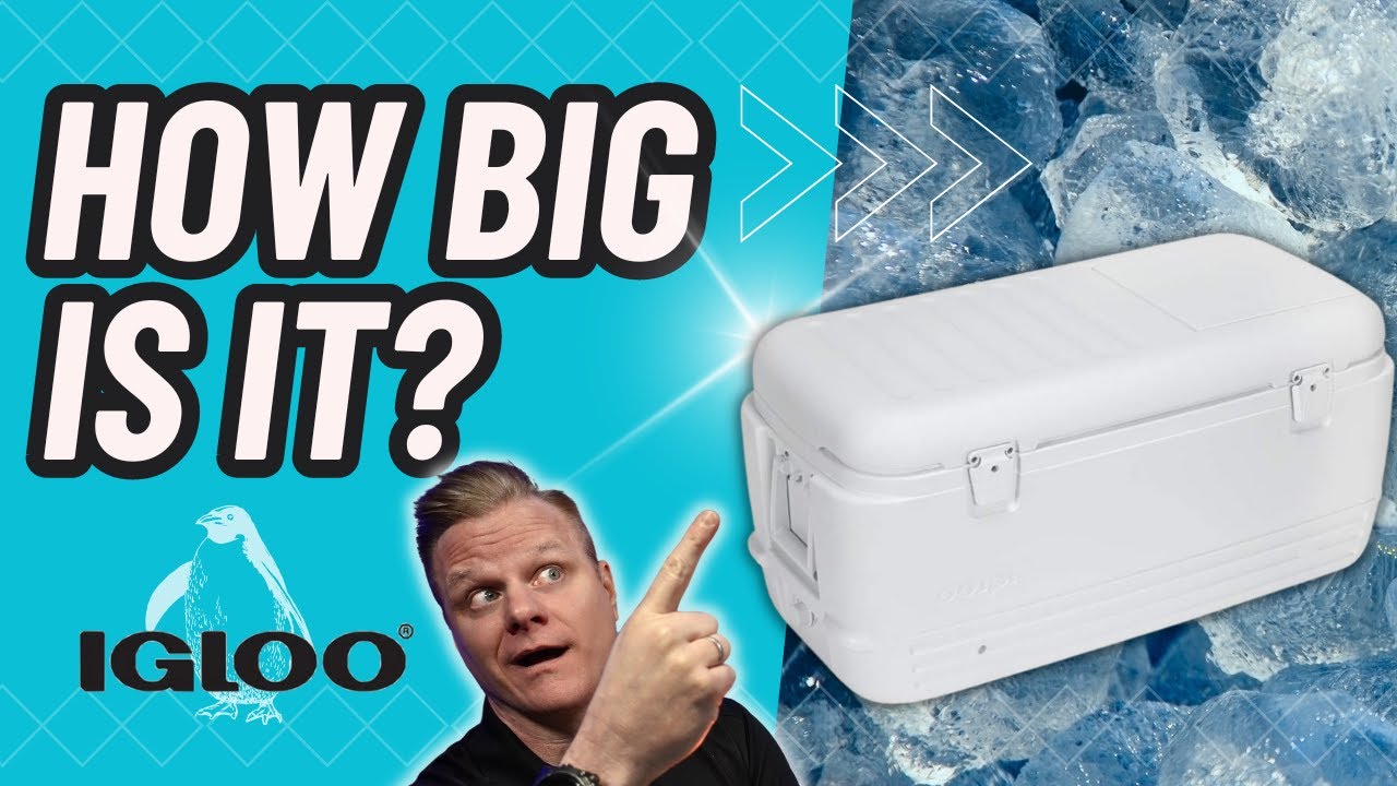 Igloo Polar Cooler: Is It Big Enough?!
