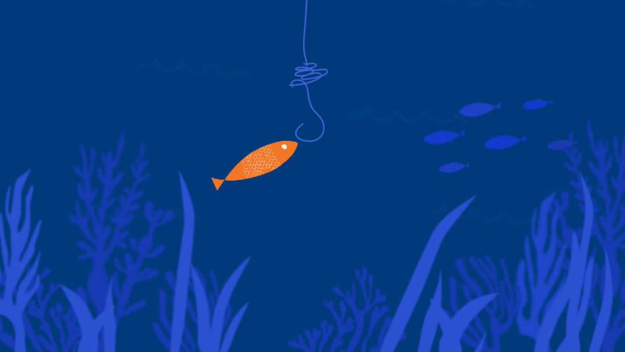 Ocean Wise