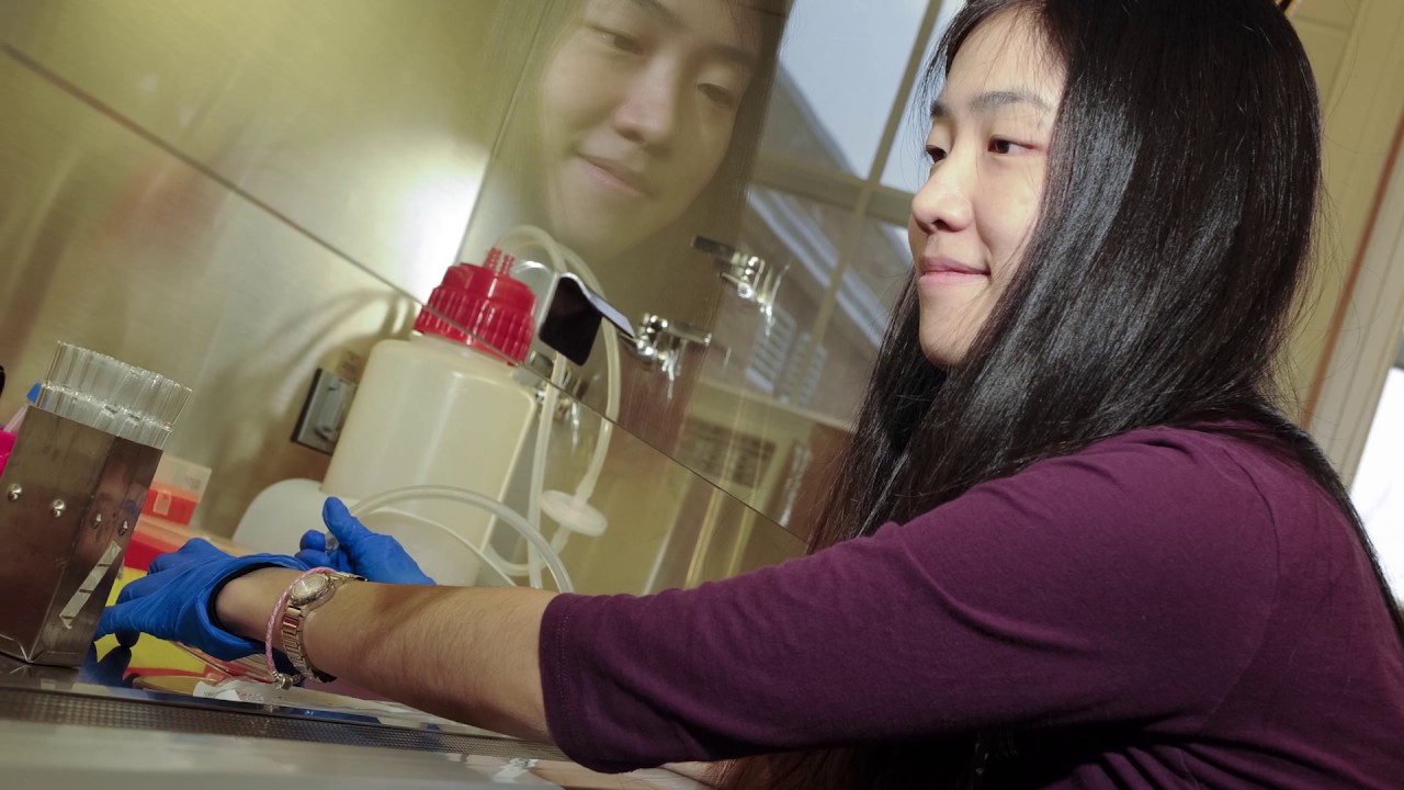 College of Liberal Arts & Sciences, Long Island University