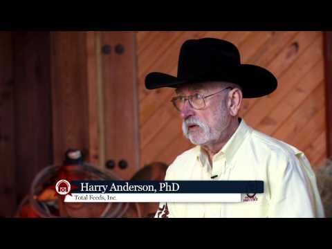 The Advice Barn "Spring Founder" - Dr. R. Harry Anderson