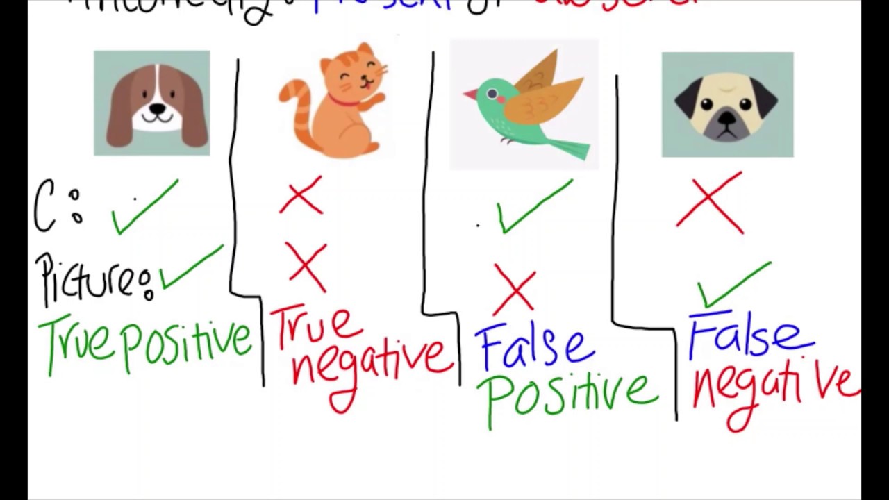 Binary Classification Example