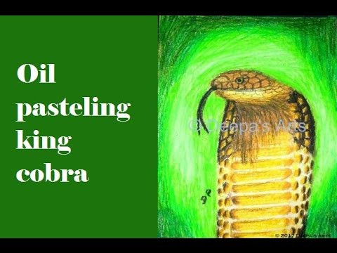 Oil pasteling King cobra | Deepa George