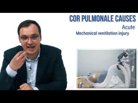 Cor Pulmonale: Causes