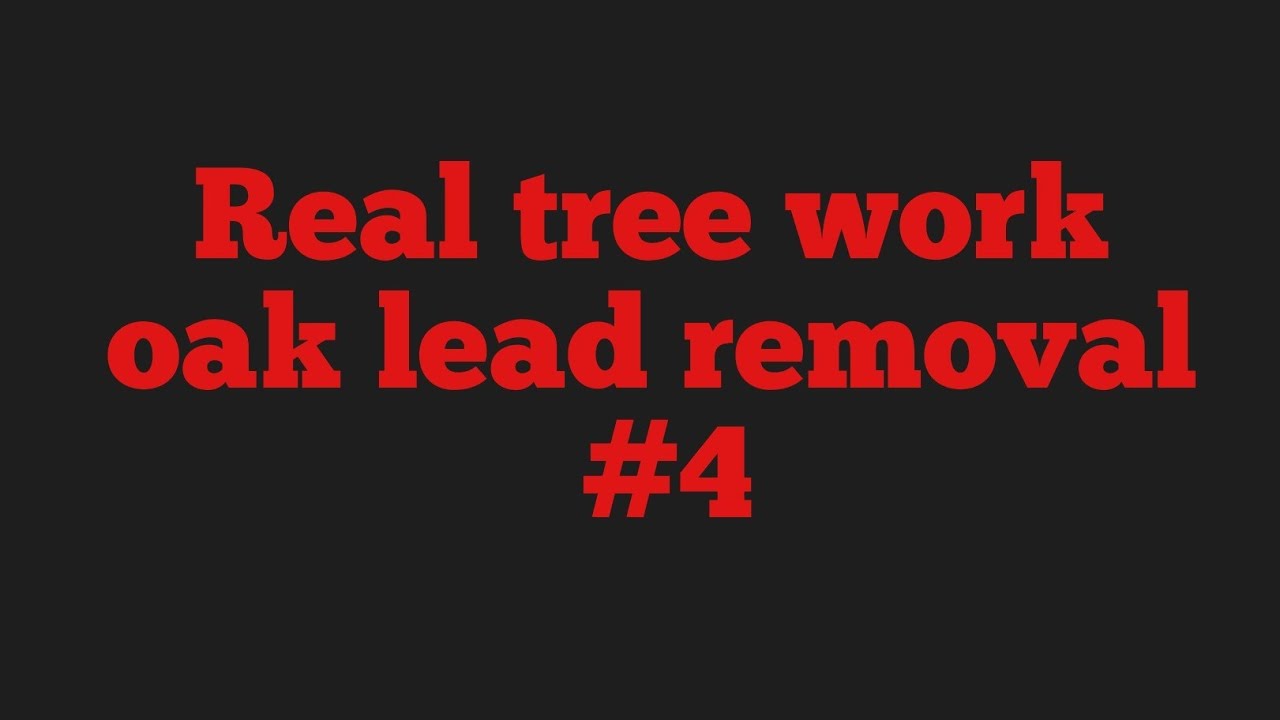 (raw) #4 large oak lead removal in a crappy spot. final