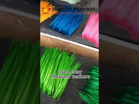 Do you know if you order #pheasantfeathers early will help you save more money? #zpdecorfeathers