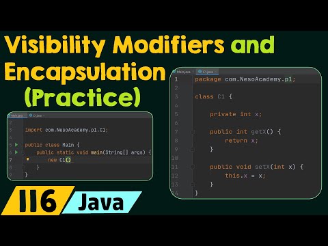 Learn Visibility Modifiers and Encapsulation Practice - Mind Luster