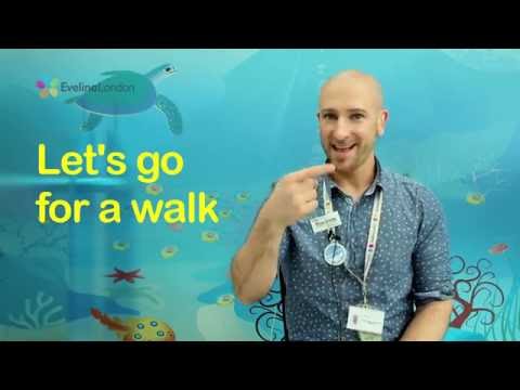 British Sign Language BSL Video Dictionary - Lets go for a walk