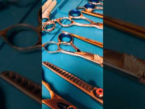 Which Dog Grooming, Blending Shear is right for you?