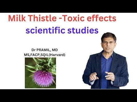 Milk Thistle and its Toxic effects -scientific studies Dr Pramil, MD, MS, FACP