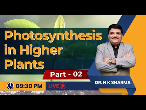 Focus of the Week - Photosynthesis in Higher Plants - Class 2 | Neet 2024 | Dr. NK Sharma Biology