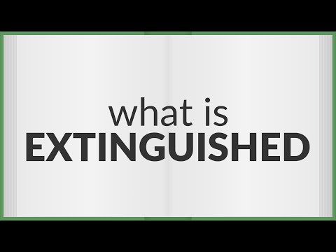 Extinguished | meaning of Extinguished