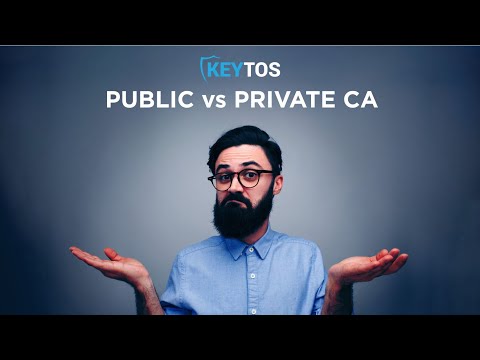 Public vs Private CA: What's the Difference?
