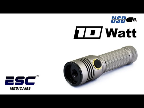 Digital Cold Light Source at Best Price in India