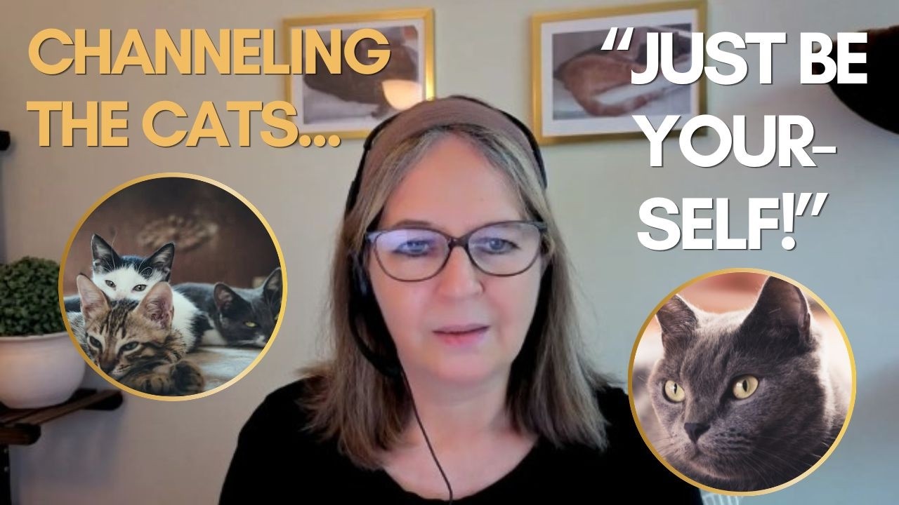 Channeling the Cats | May 2026: The cats want you to fully enjoy your life and the human experience