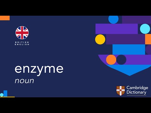 How to pronounce enzyme | British English and American English pronunciation
