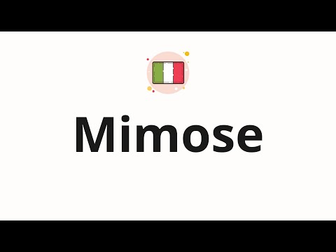 How to pronounce Mimose (Mimosa in Italian)