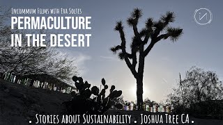 Joshua Tree Foundation for Arts & Ecology - GuideStar Profile