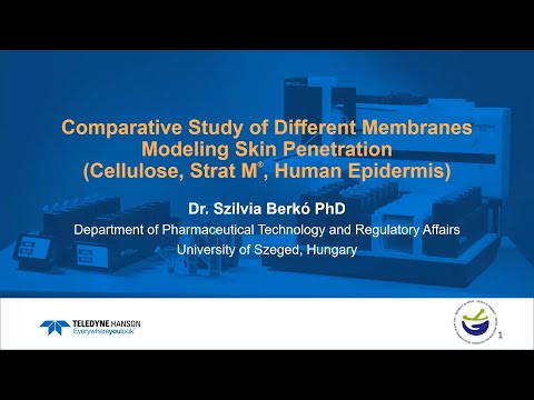 Comparative Study of Different Membranes Modeling Skin Penetration