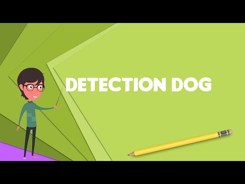 What is Detection dog? Explain Detection dog, Define Detection dog, Meaning of Detection dog